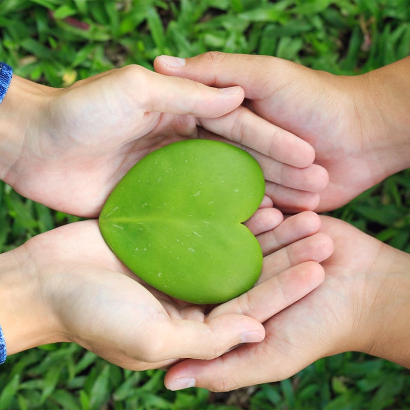 Sustainable procurement (SRI) of waste management: here's how to get started